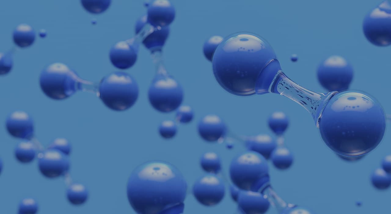 The value and function of proteins in the human body - LesSearch-Lars